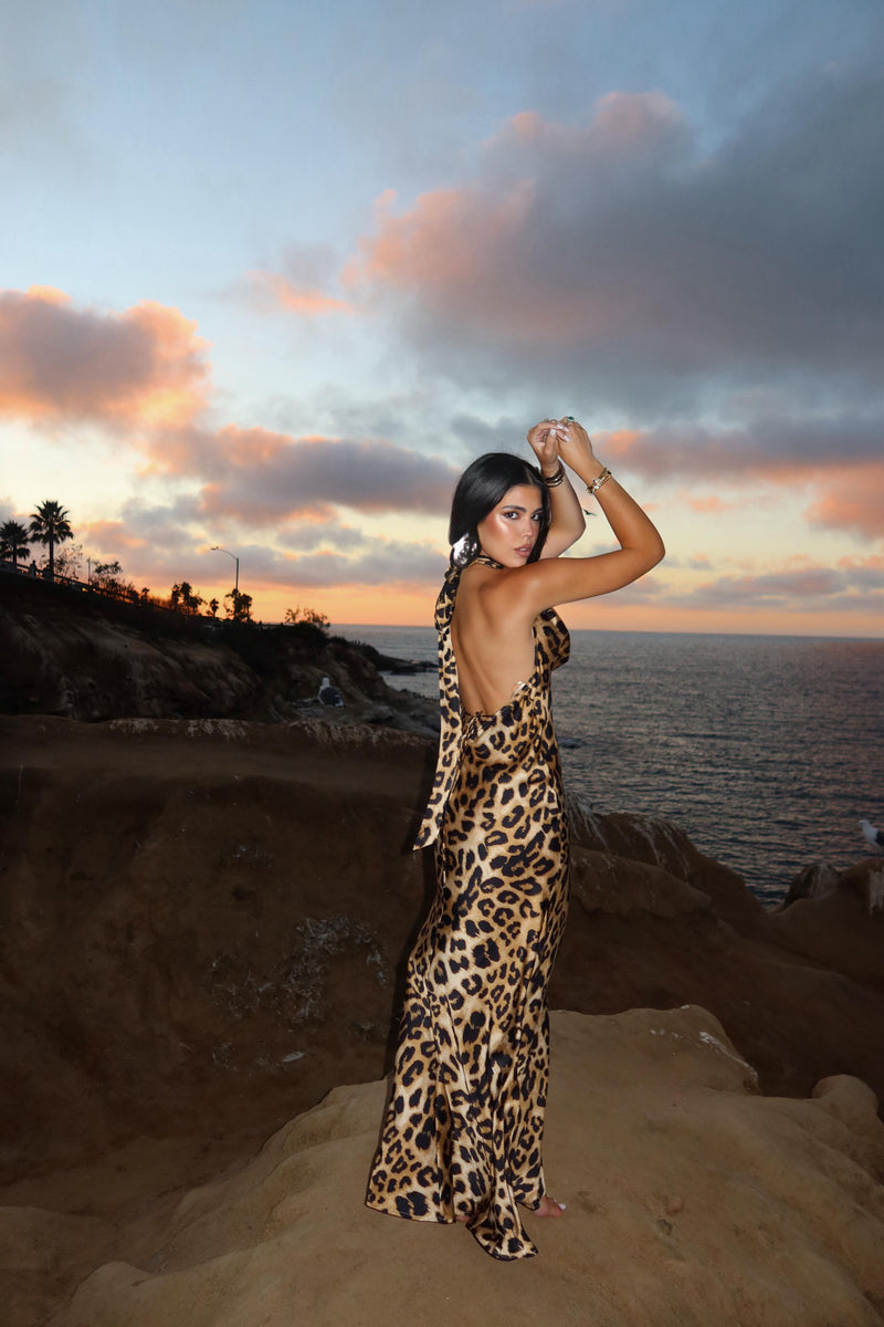 Lancaster dress – VELVET CLOTHING CO.